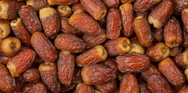 Everything You Need To Know About World Of Dates Riyadh - Platinumlist ...