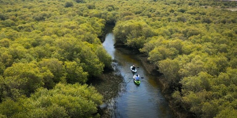 Discover UAE’s Hidden Green Havens: Top 10 Country's Nature Spots You ...