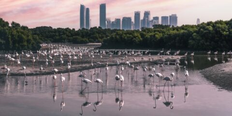 Best Hidden Gems in Dubai: Secret Spots You Must See - Platinumlist Guide