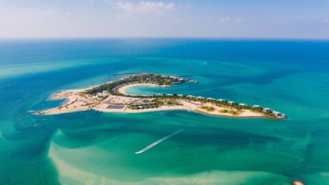 Best Places To Go Scuba Diving In The UAE - Platinumlist Guide